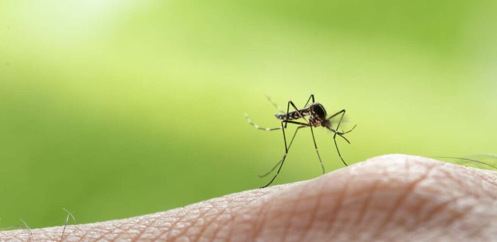 Hitteplan: blijf veilig tijdens de warmte - Rode Kruis Nederland