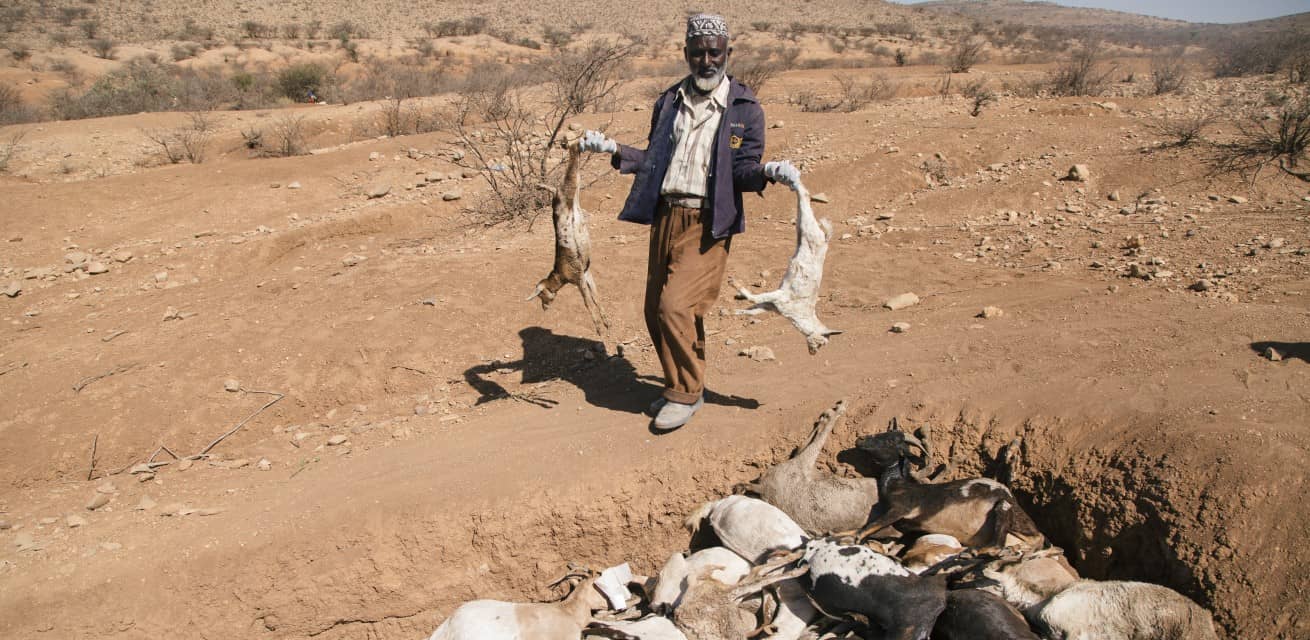 Waarom is er honger in de Hoorn van Afrika? Het voedseltekort uitgelegd ...
