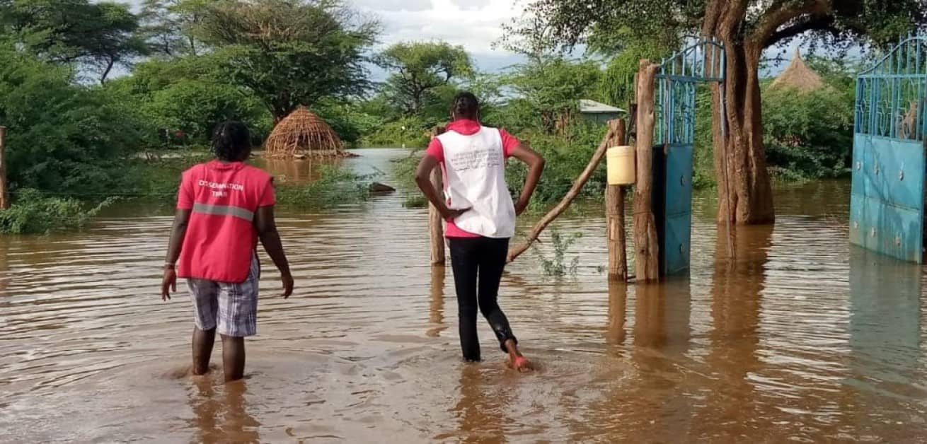 Waarom is er honger in de Hoorn van Afrika? Het voedseltekort uitgelegd ...