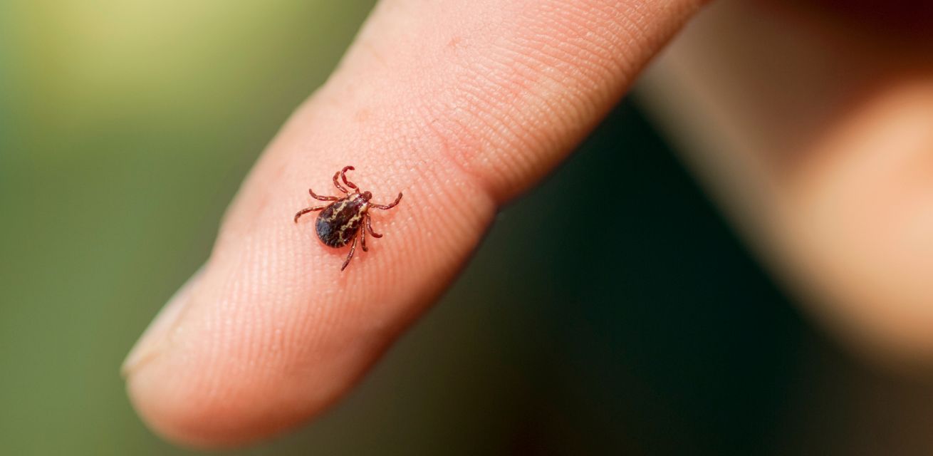 Zeven dingen om te weten over alarmnummer 112 - Rode Kruis